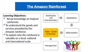 The AMazon causes of deforestation and effects.pptx