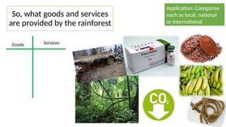 The AMazon causes of deforestation and effects.pptx
