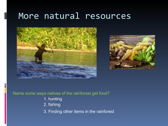 The amazon rainforest | PPT