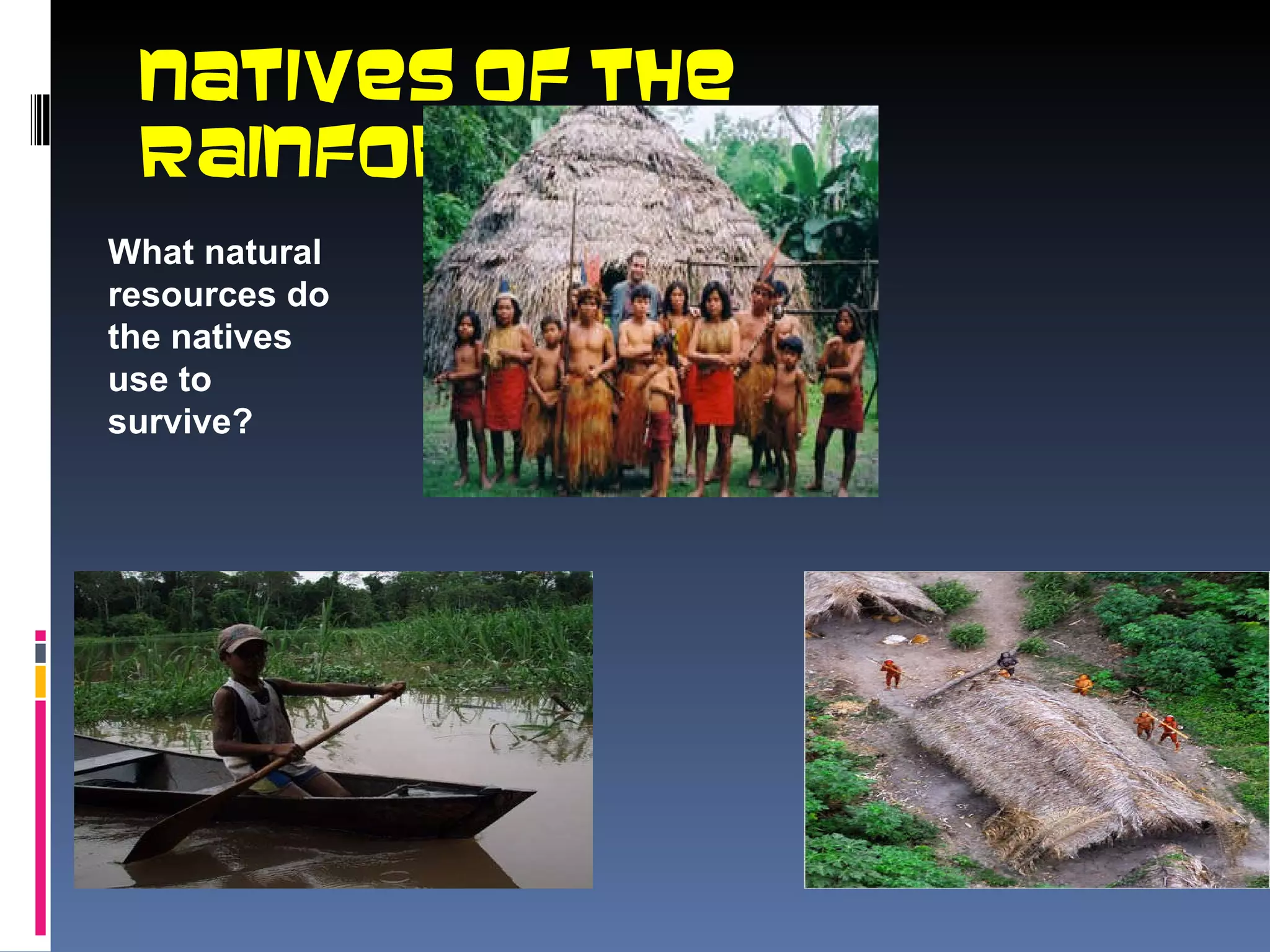 The amazon rainforest | PPT