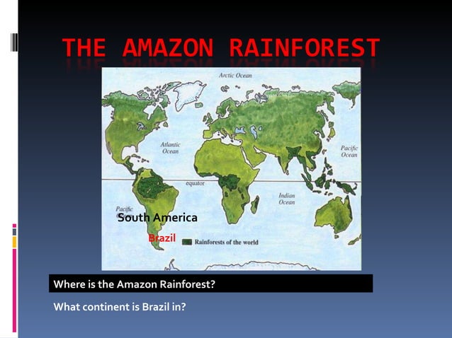 The amazon rainforest | PPT