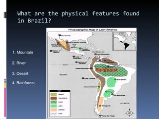The amazon rainforest | PPT
