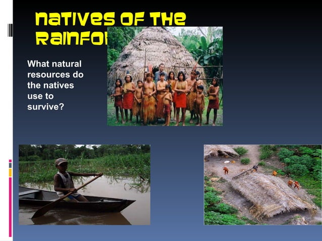 The amazon rainforest | PPT