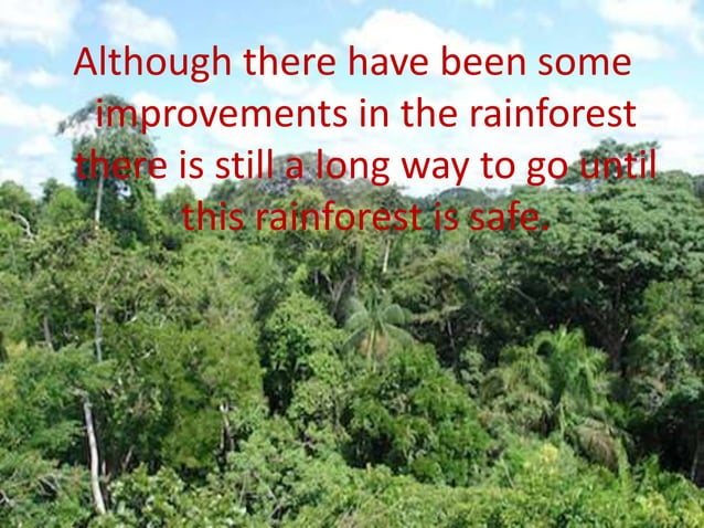 The Amazon Rainforest | PPT