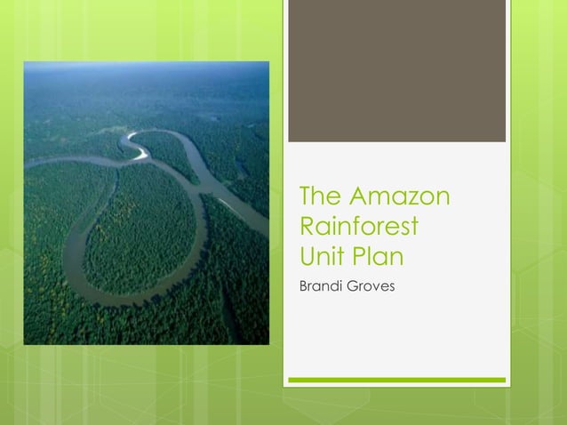 The amazon rainforest | PPT