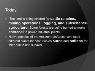 The amazon rainforest | PPTX