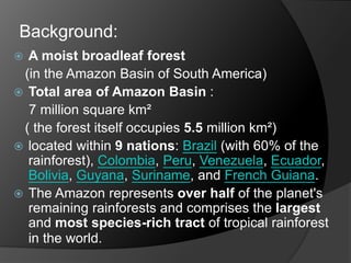 The amazon rainforest | PPTX