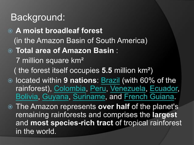 The amazon rainforest | PPTX