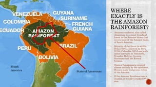 The amazon rainforest | PPTX