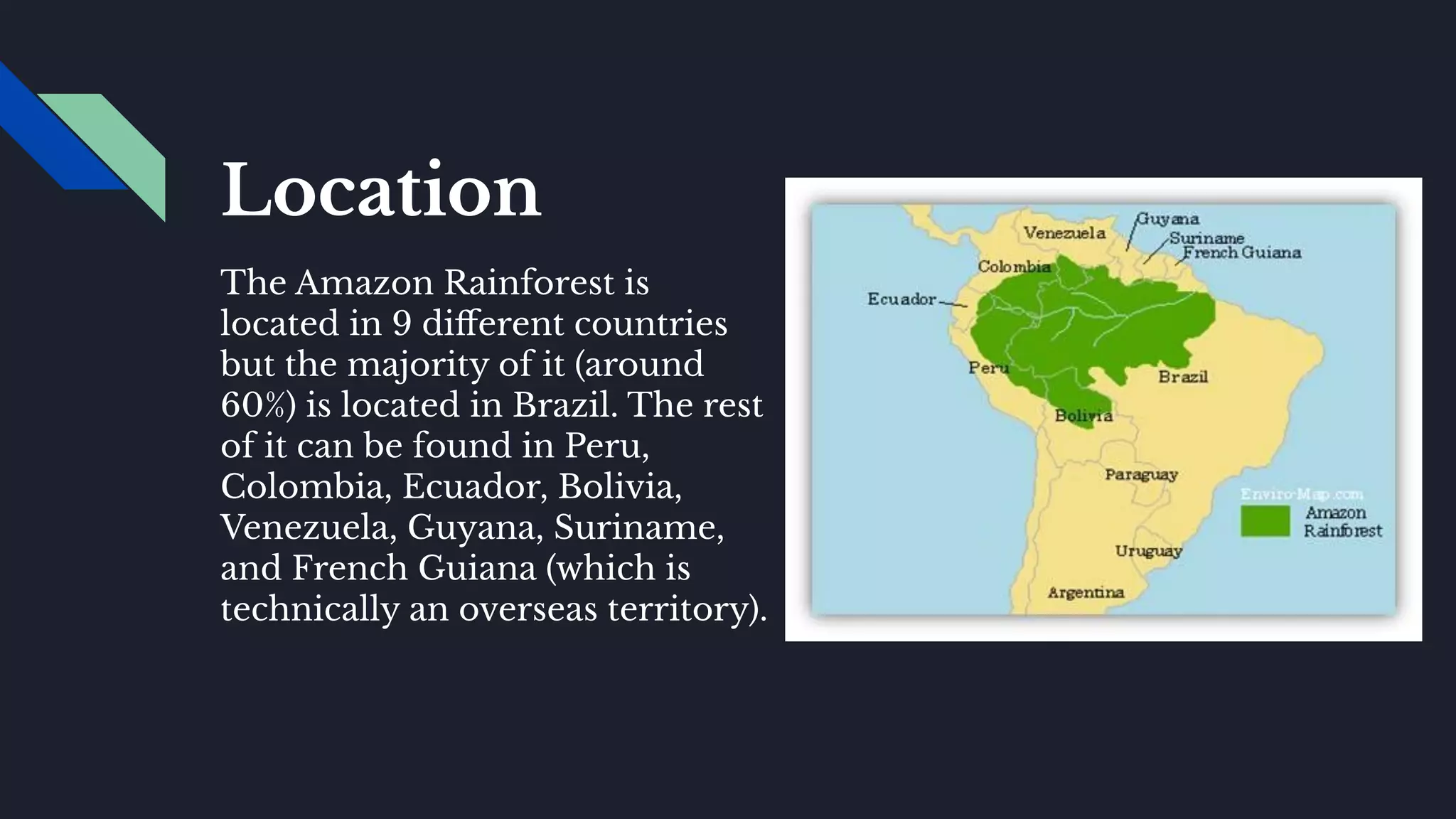 The Amazon Rainforest | PDF