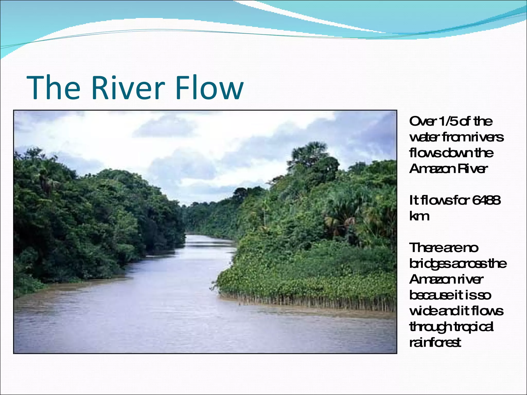 The Amazon River By Steven Green 97 2003 Powerpoint | PPT | South ...