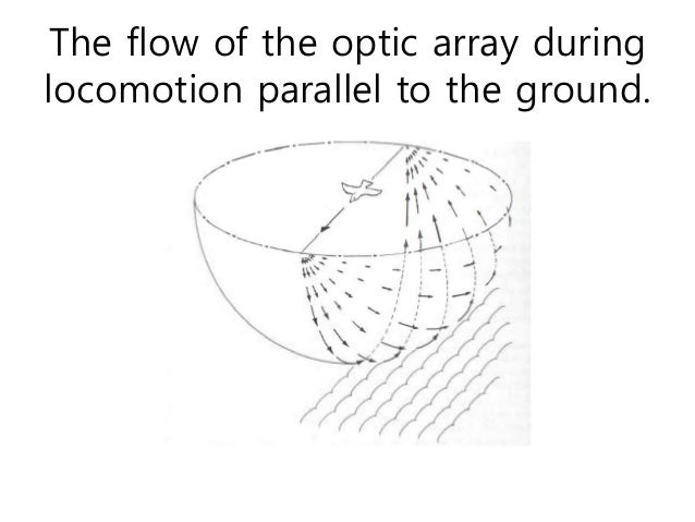 The ambient optic haptic array part two