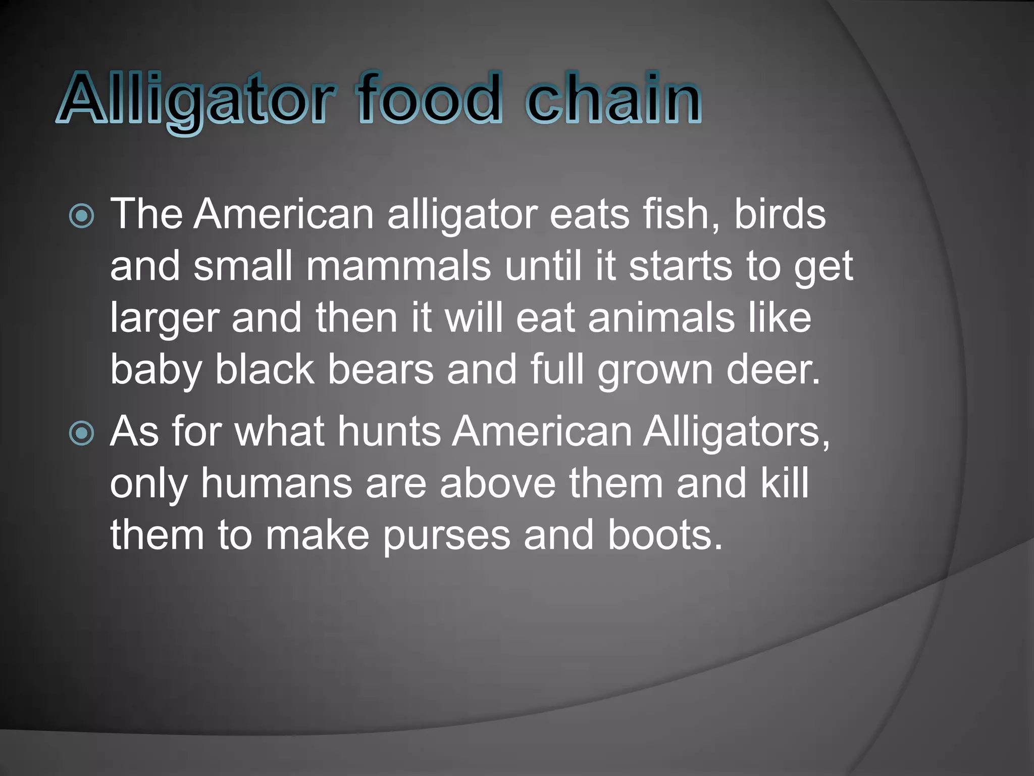 The american alligator | PPTX