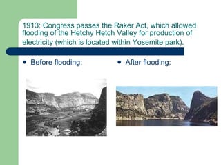 The american environmental movement | PPT