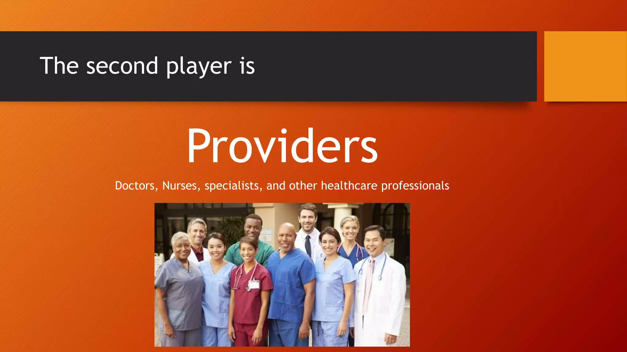 The American Healthcare System a Brief Overview | PPTX