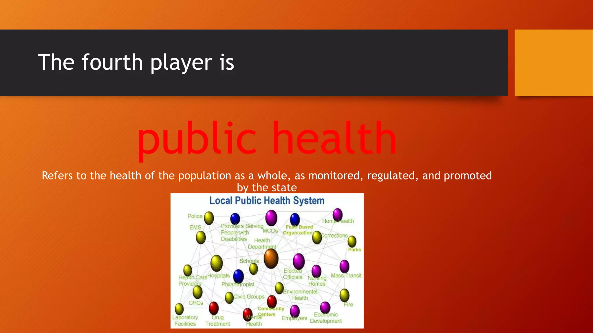 The American Healthcare System a Brief Overview | PPTX