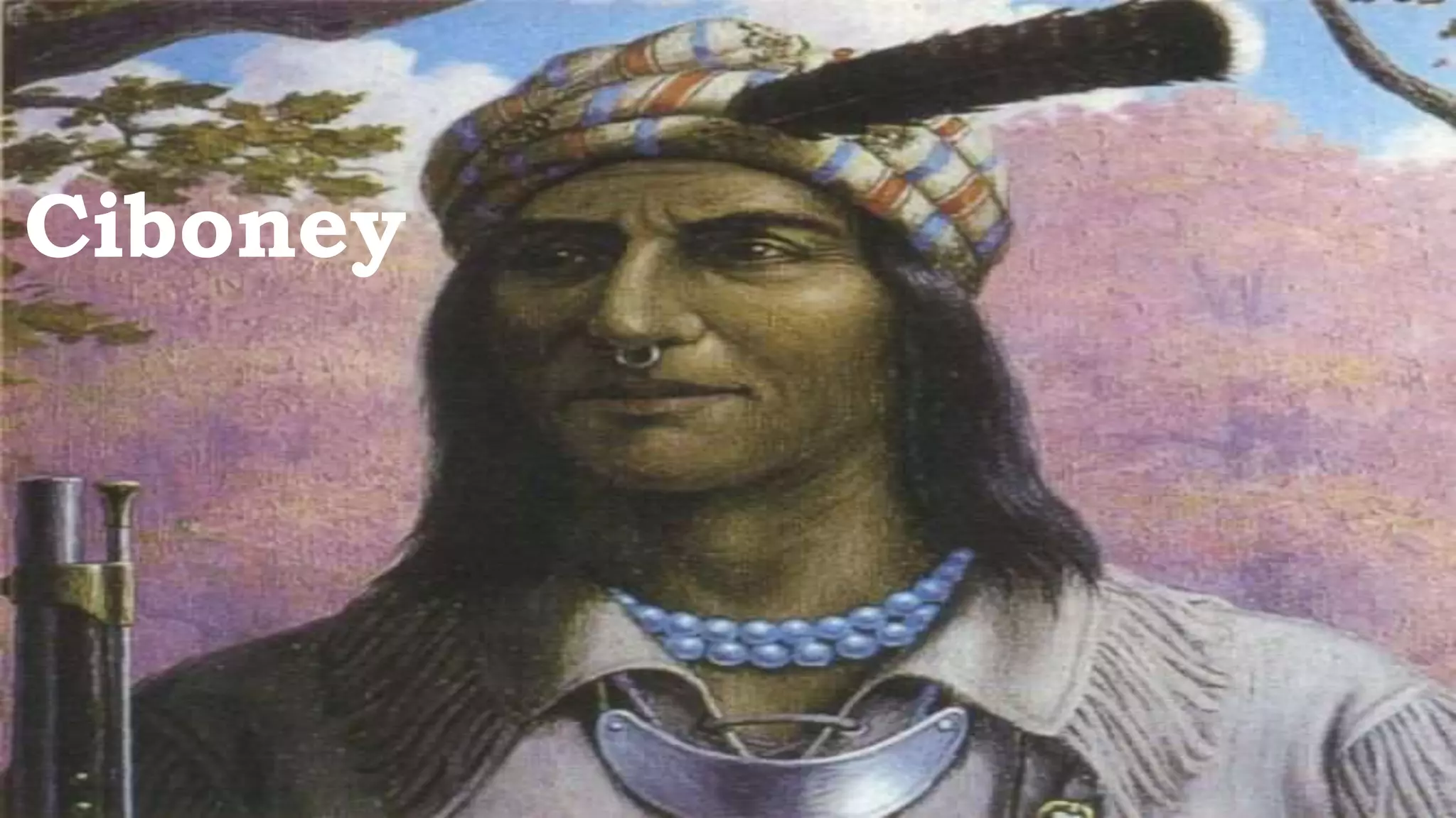 The amerindians and european patterns of settlement | PPTX