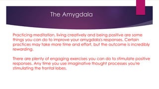 The Amgdala: Using the Body to Control Emotion | PPTX