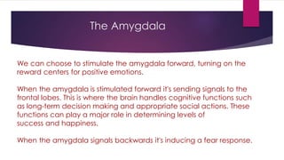The Amgdala: Using the Body to Control Emotion | PPTX