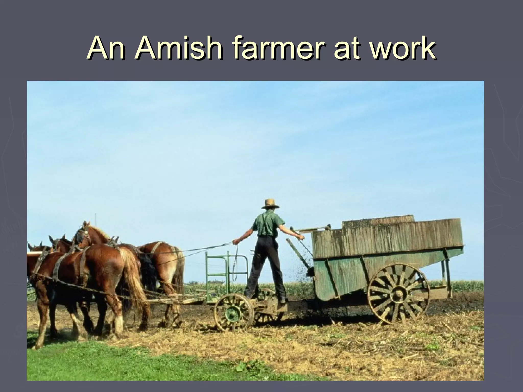 The amish | PPT