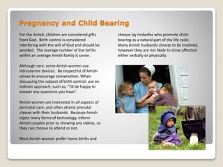 Cultural Diversity - Health Care & The Amish | PPTX