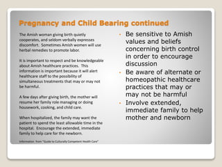 Cultural Diversity - Health Care & The Amish | PPTX