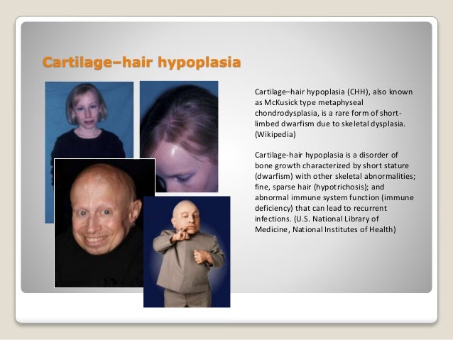 Cultural Diversity - Health Care & The Amish