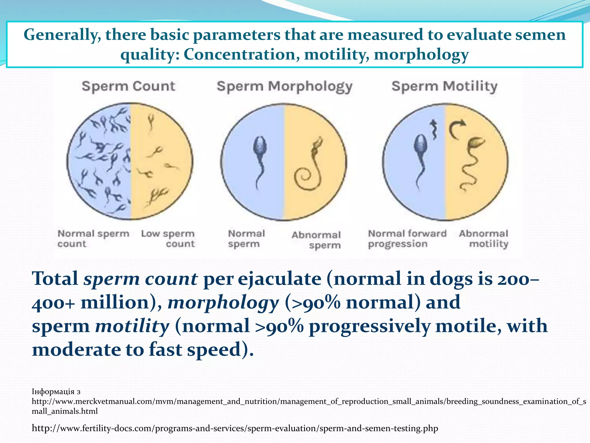 Sperm count.pptx