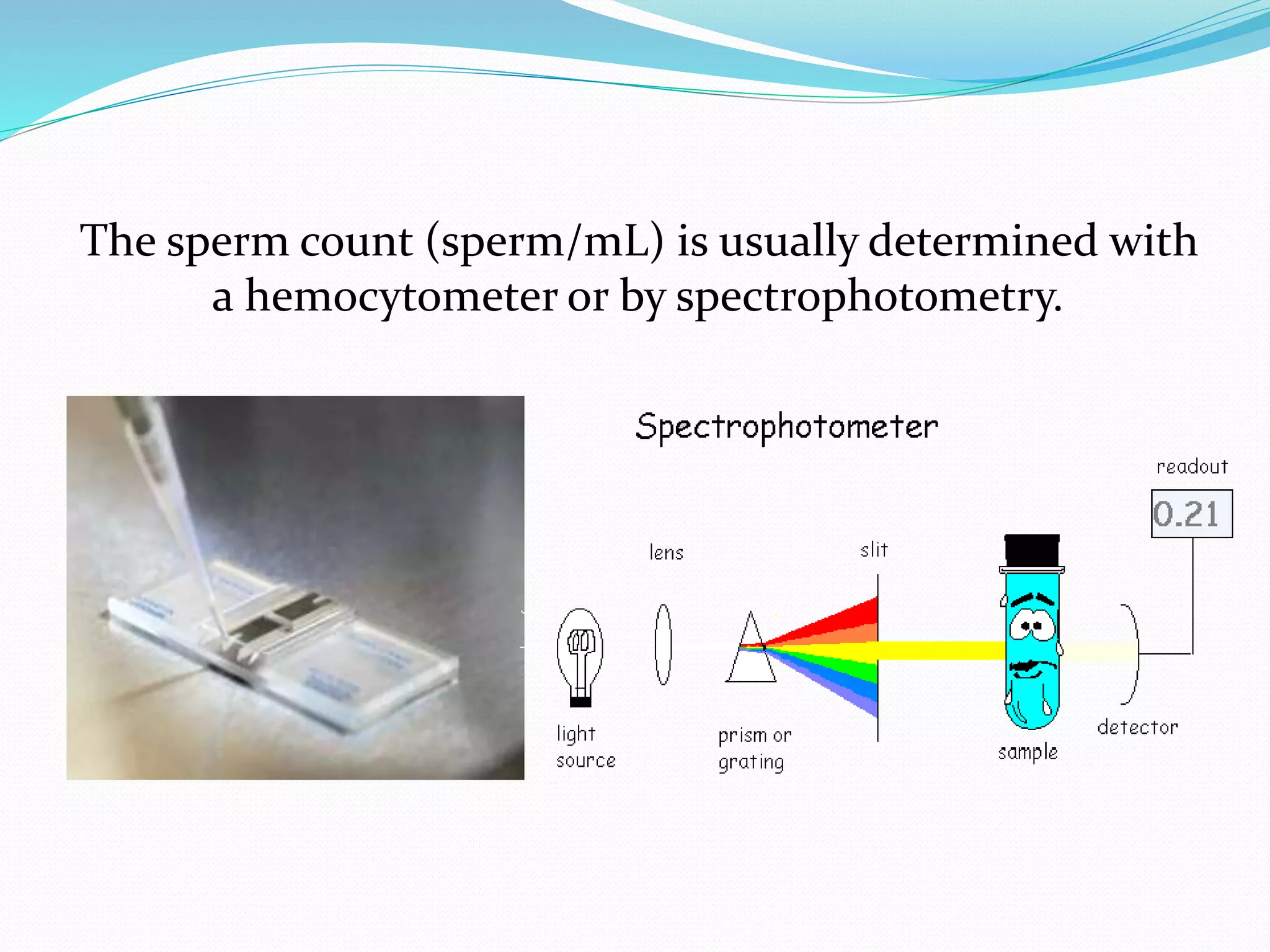 Sperm count.pptx | Infertility | Reproductive Health