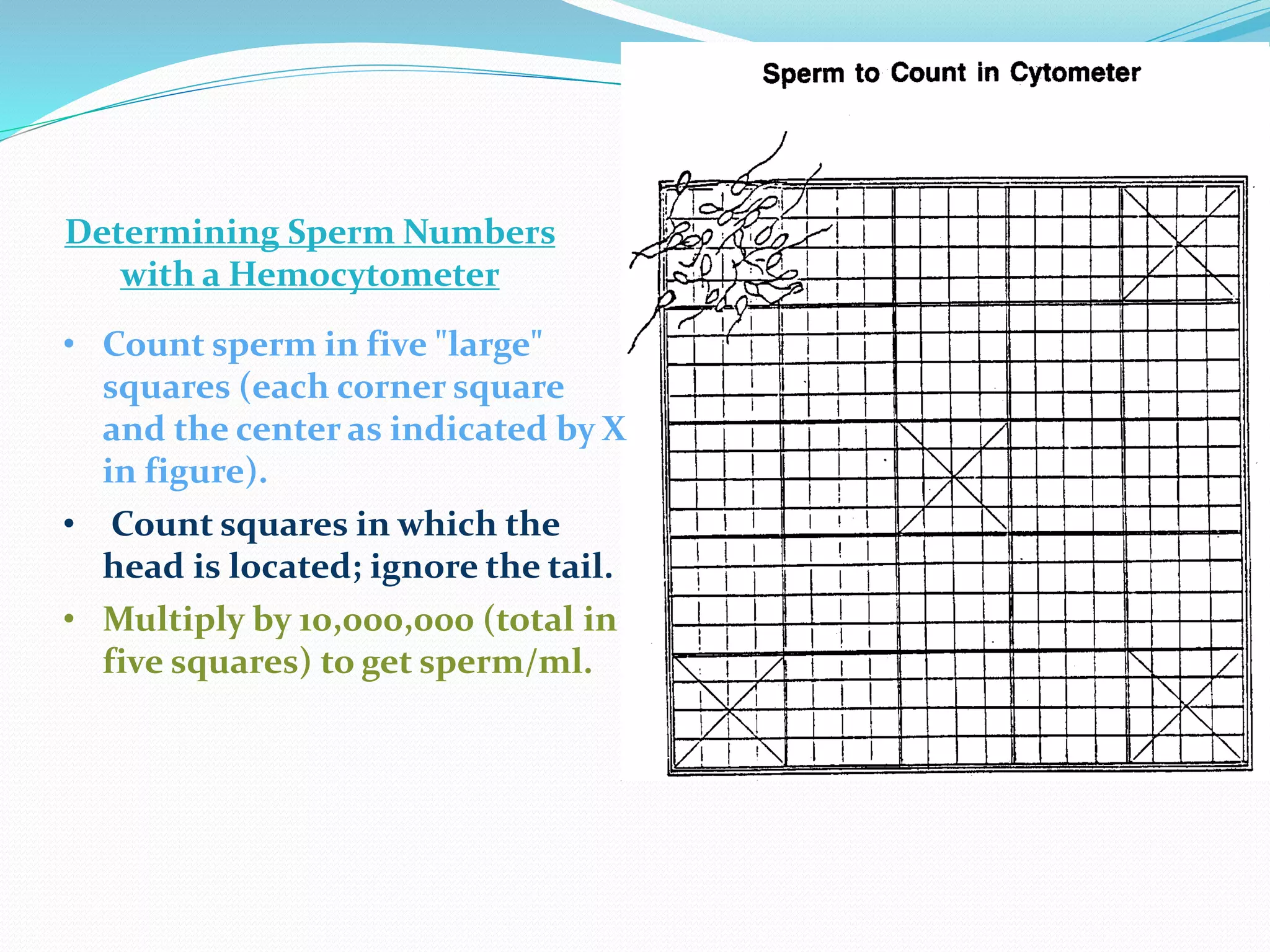 Sperm count.pptx | Infertility | Reproductive Health