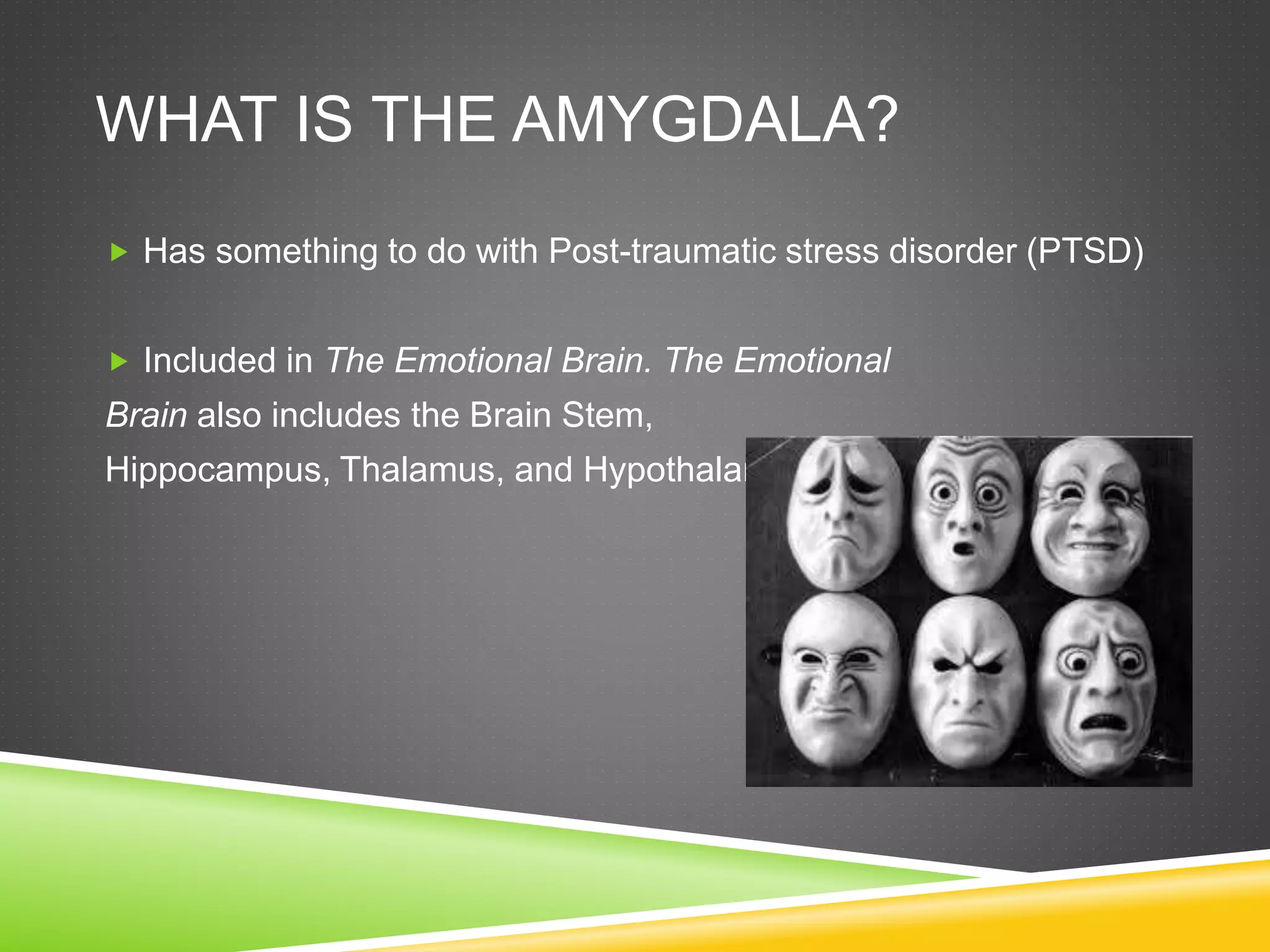 The amygdala by keiffer policarpio and shannon youse | PPTX