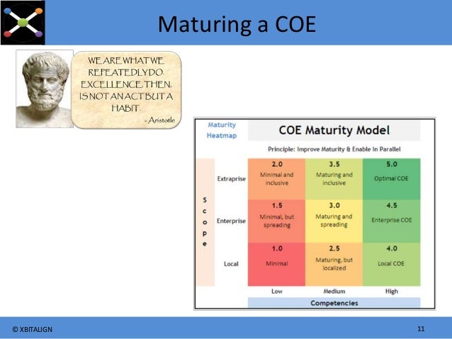 The Analytics COE positioning your business analytics program for s…