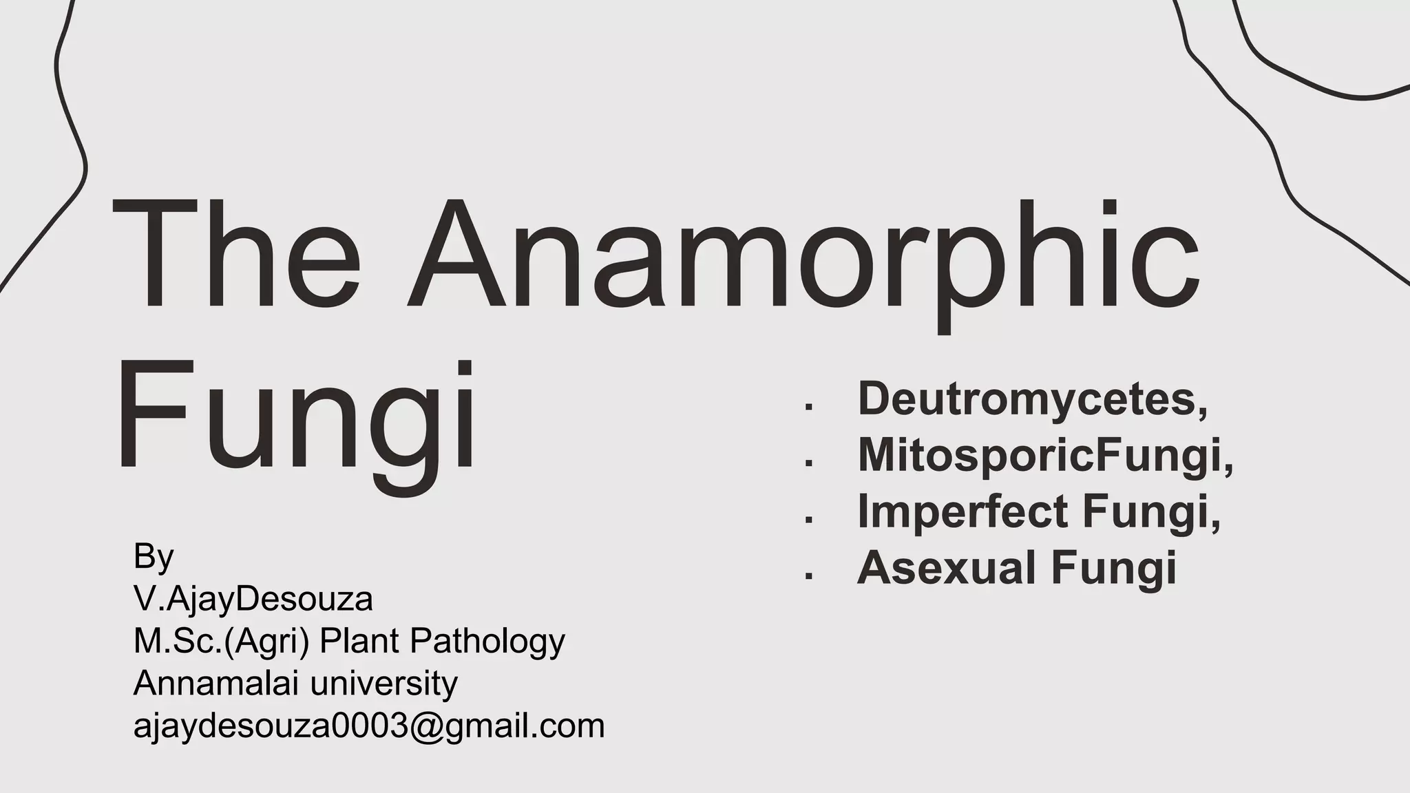 The Anamorphic Fungi.pptx