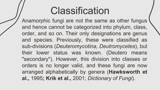 The Anamorphic Fungi.pptx