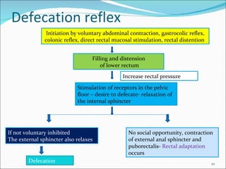The anatomy and physiology of normal anorectum | PPT
