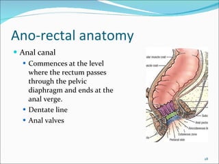 The anatomy and physiology of normal anorectum | PPT