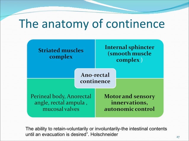 The anatomy and physiology of normal anorectum | PPT | Digestive ...