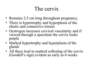 The anatomy and physiology of pregnancy by chikwala.pptx