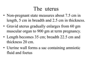 The anatomy and physiology of pregnancy by chikwala.pptx