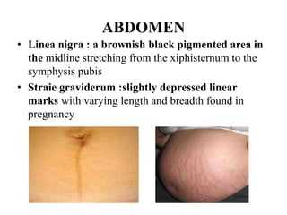 The anatomy and physiology of pregnancy by chikwala.pptx