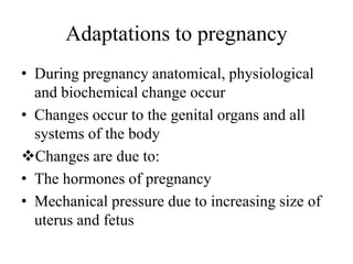 The anatomy and physiology of pregnancy by chikwala.pptx