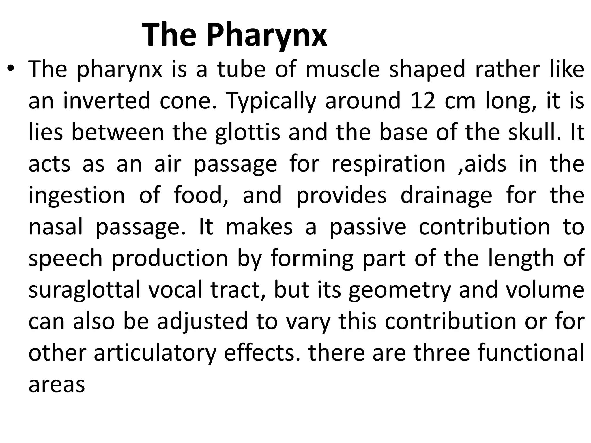 The Anatomy and Physiology of Speech Production(Phonetics) | PPTX