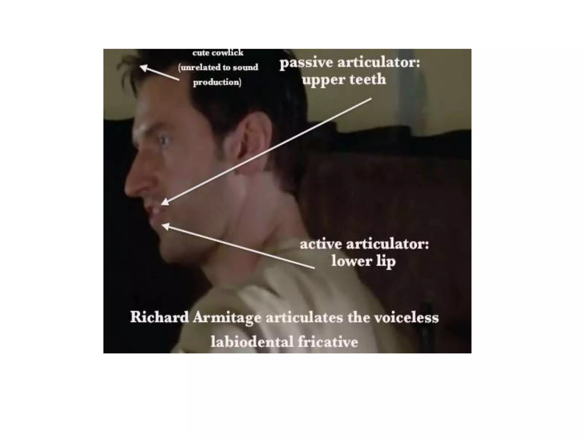 The Anatomy and Physiology of Speech Production(Phonetics) | PPTX