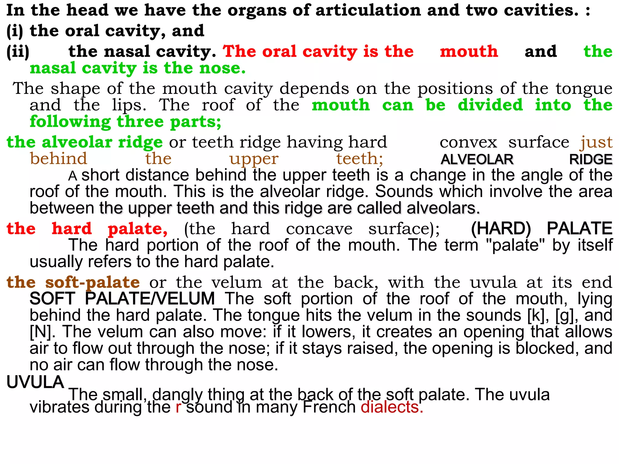 The Anatomy and Physiology of Speech Production(Phonetics) | PPTX