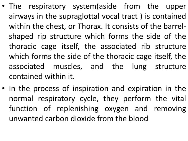 The Anatomy and Physiology of Speech Production(Phonetics) | PPTX