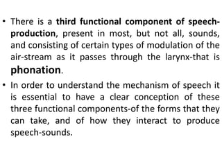 The Anatomy and Physiology of Speech Production(Phonetics) | PPTX