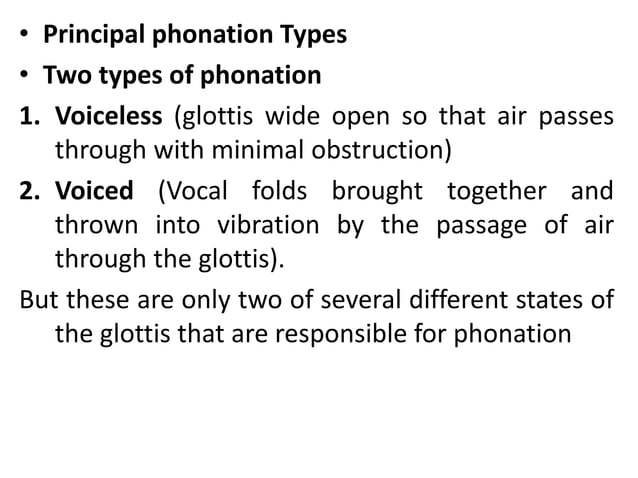The Anatomy and Physiology of Speech Production(Phonetics) | PPTX
