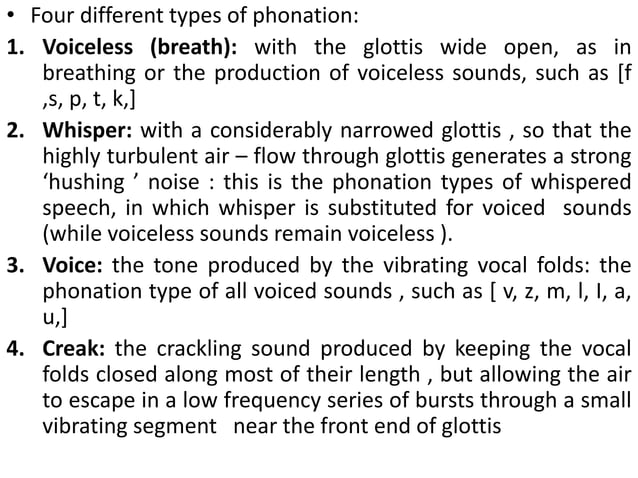 The Anatomy and Physiology of Speech Production(Phonetics) | PPTX