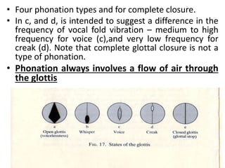 The Anatomy and Physiology of Speech Production(Phonetics) | PPTX