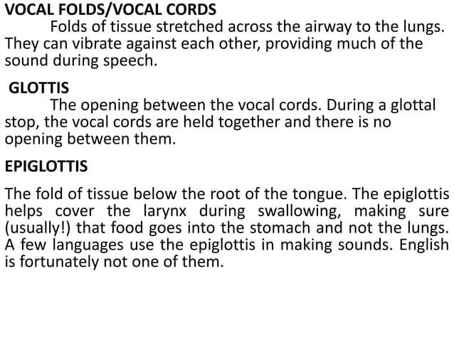 The Anatomy and Physiology of Speech Production(Phonetics) | PPTX